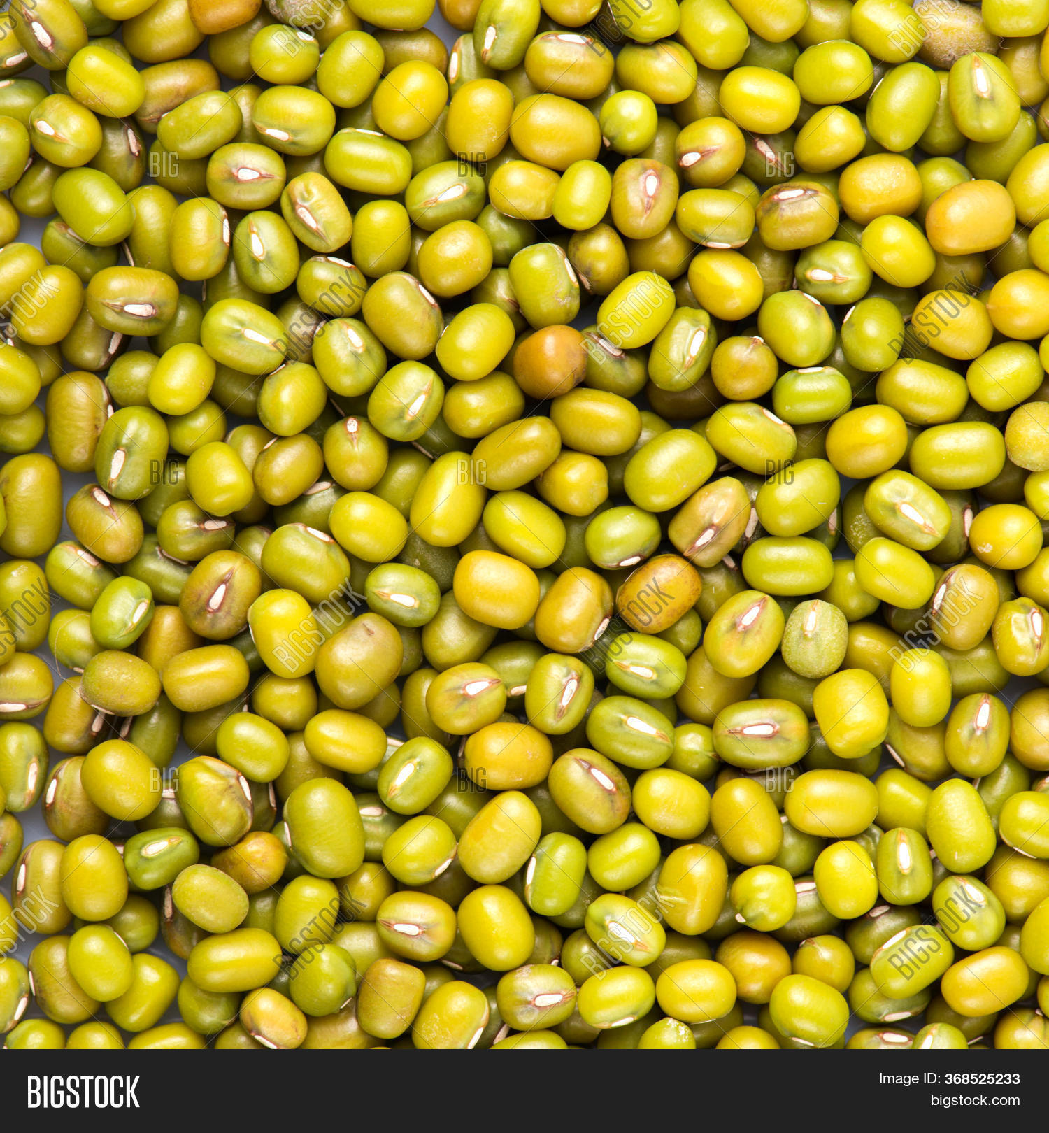 Peas Mash. Mung Bean. Image & Photo (Free Trial) | Bigstock
