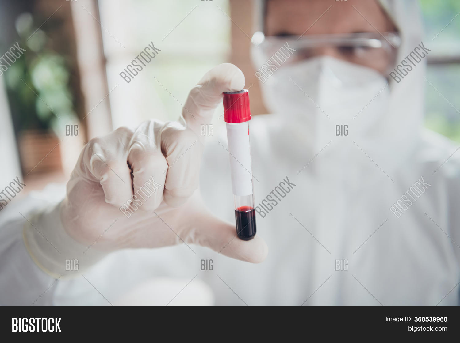 Closeup Photo Corona Image & Photo (Free Trial) | Bigstock