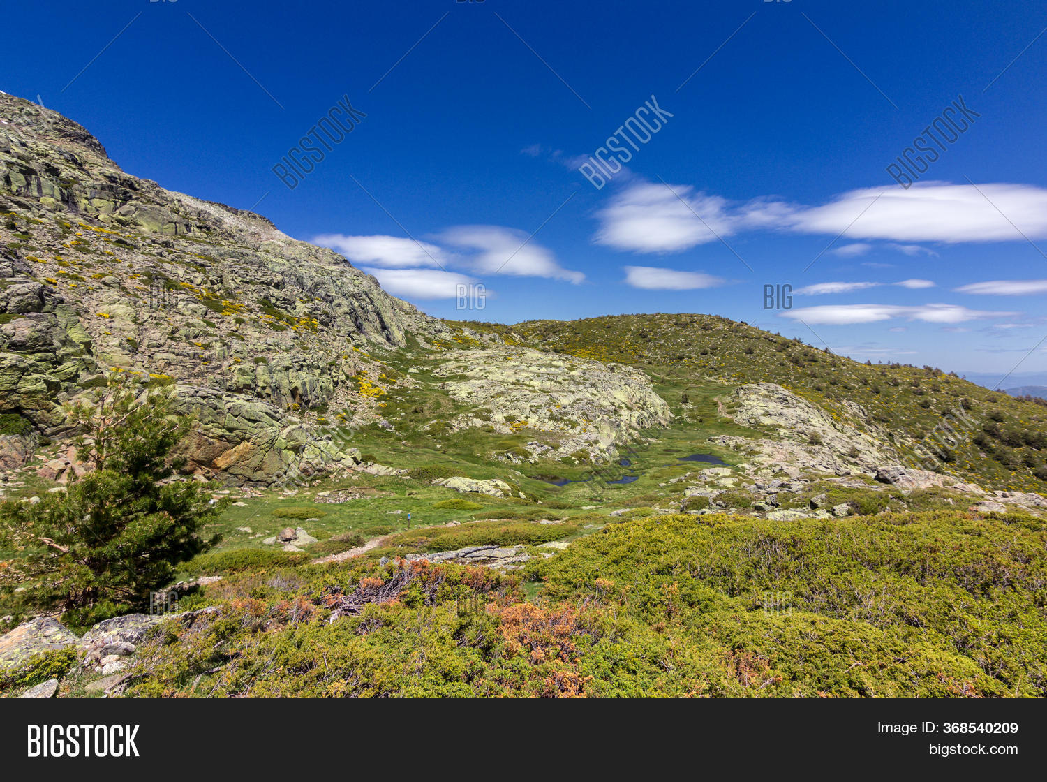 View Surrounding Area Image & Photo (Free Trial) | Bigstock