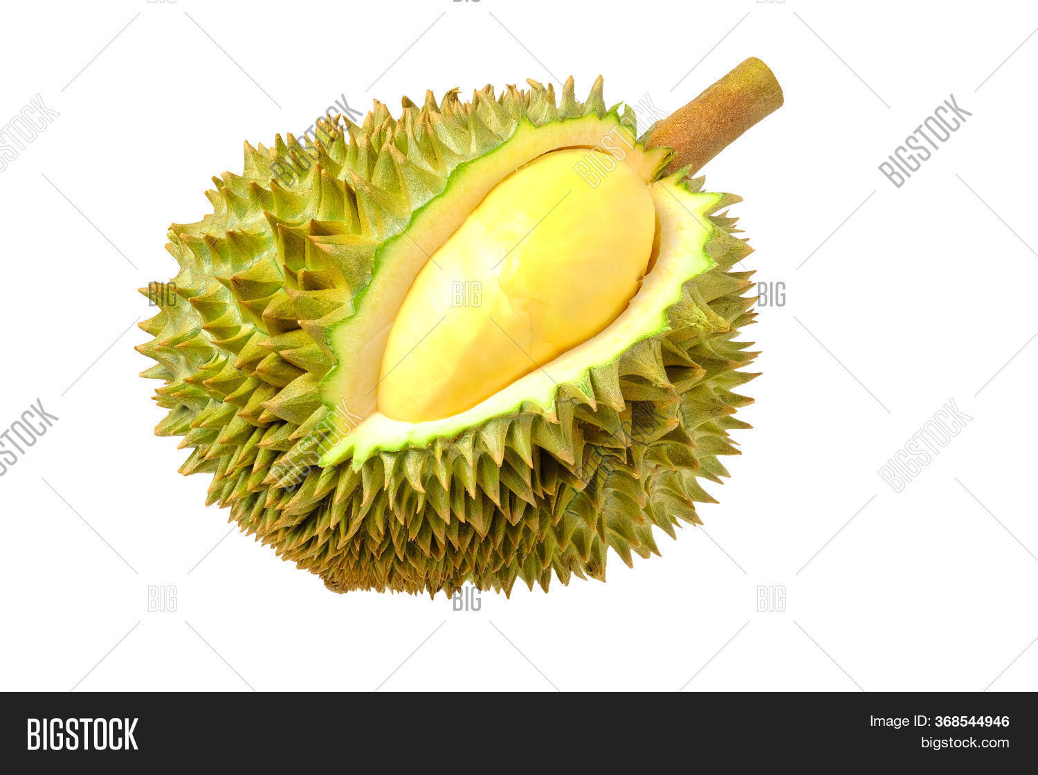 Fresh Green Durian. Image & Photo (Free Trial) | Bigstock