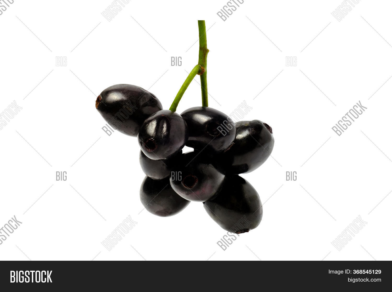 Jambolan Plum Java Image & Photo (Free Trial) | Bigstock