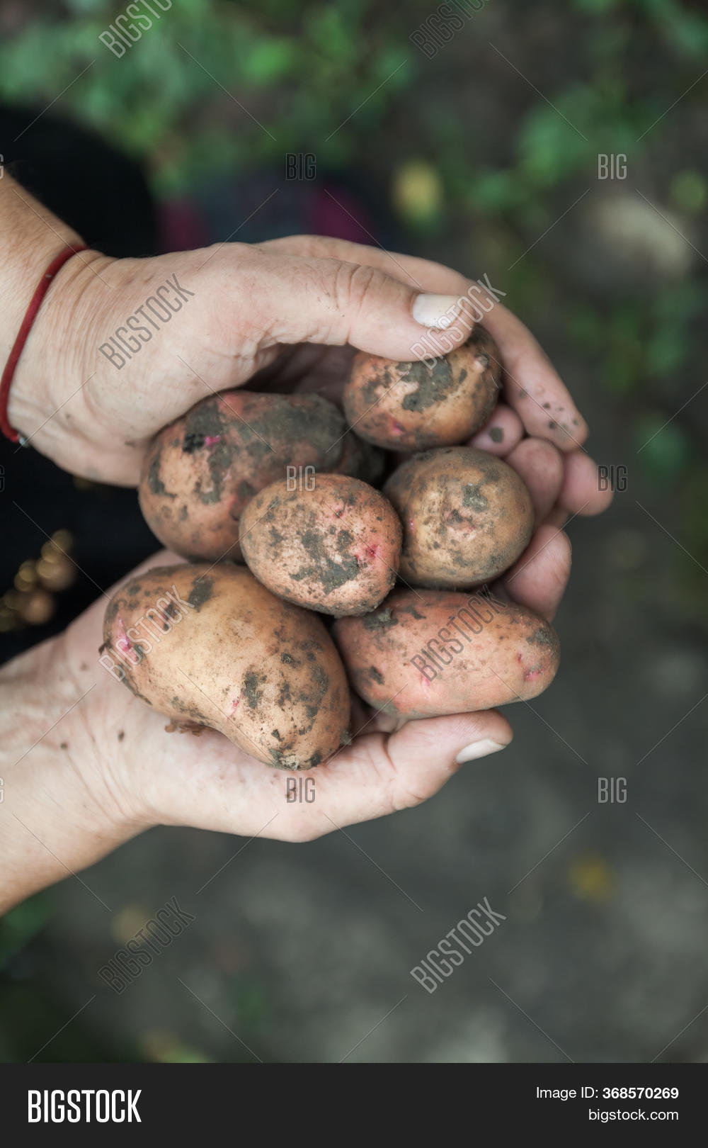 Red Dirty Fruit Image & Photo (Free Trial) | Bigstock