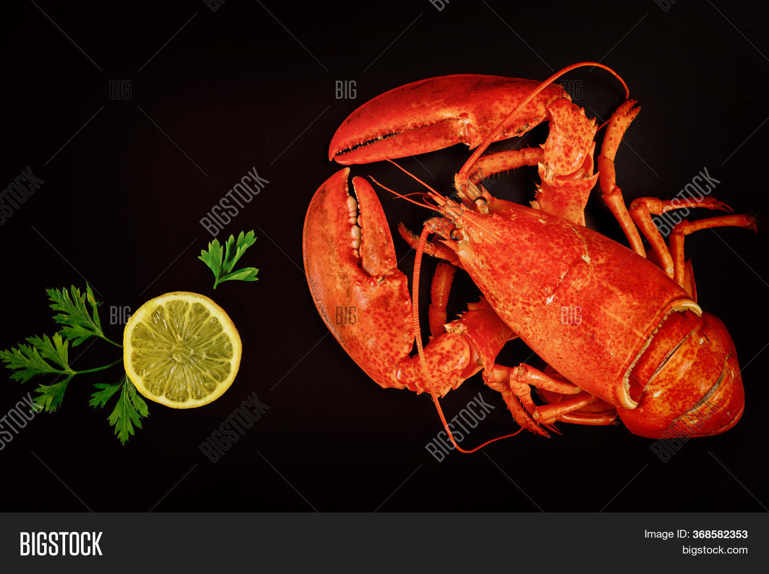 Red Ocean Lobster On Image & Photo (Free Trial) | Bigstock