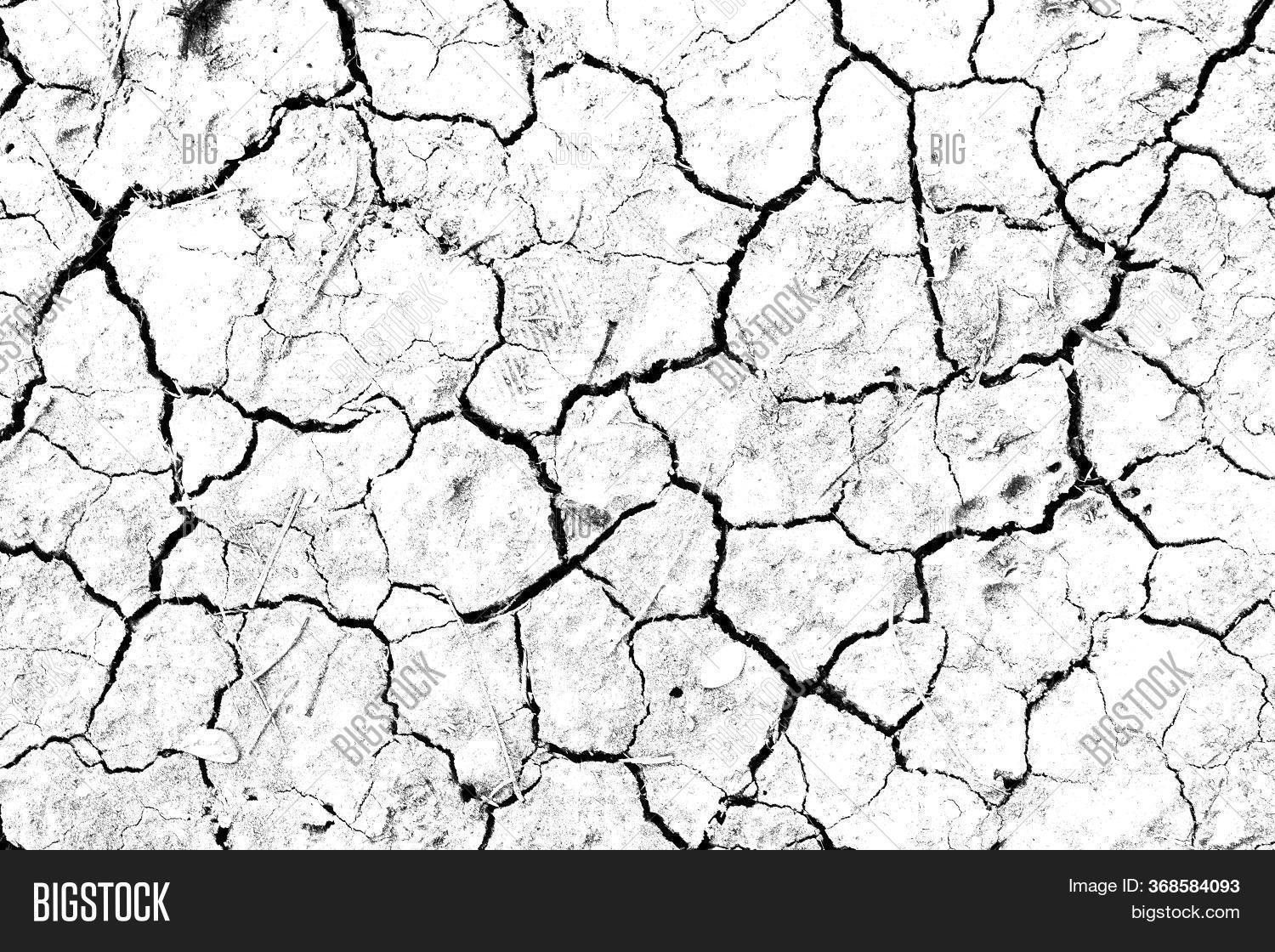 Texture Soil Dry Crack Image & Photo (Free Trial) | Bigstock