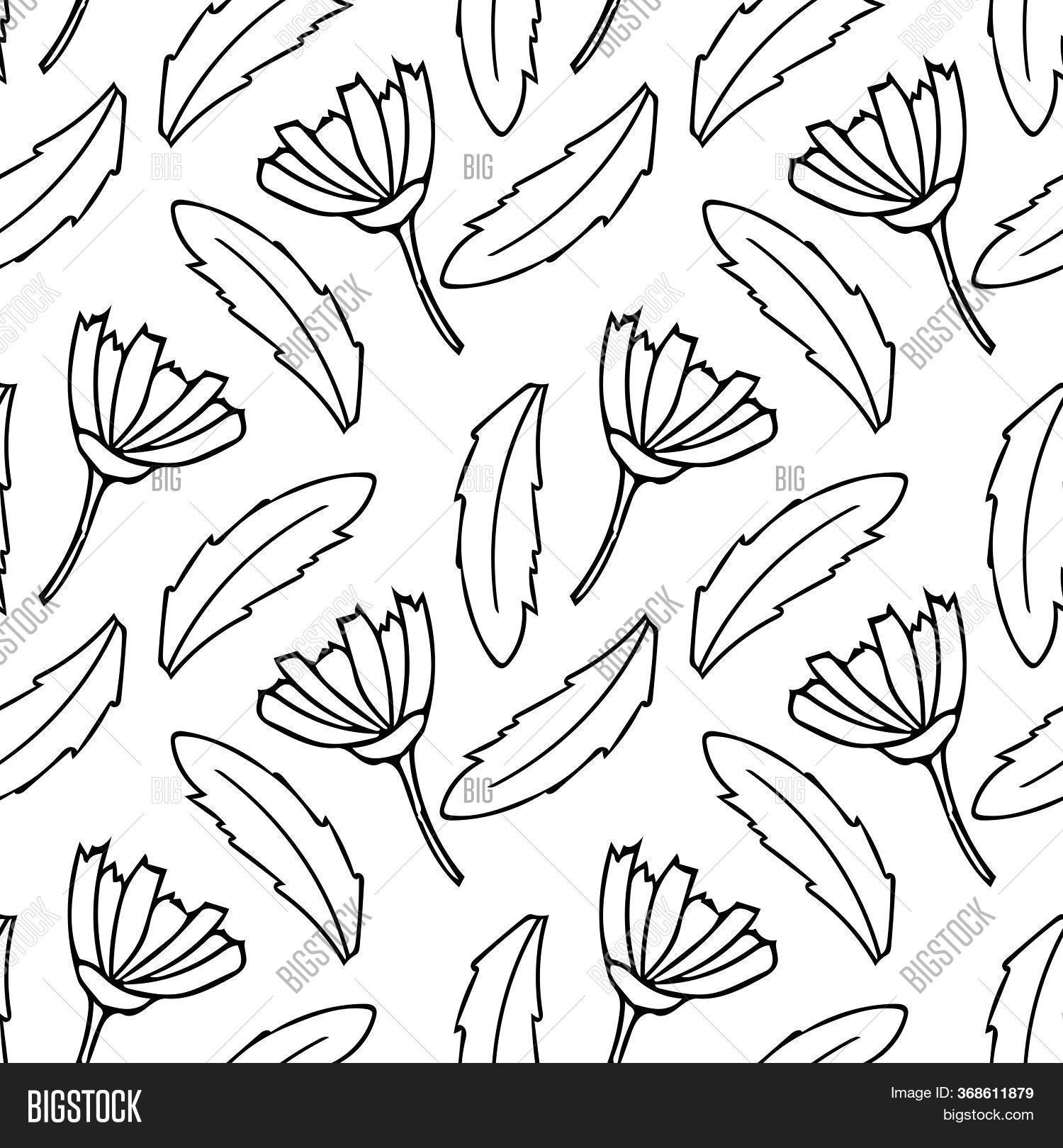 Daisies Leaves Hand Image & Photo (Free Trial) | Bigstock