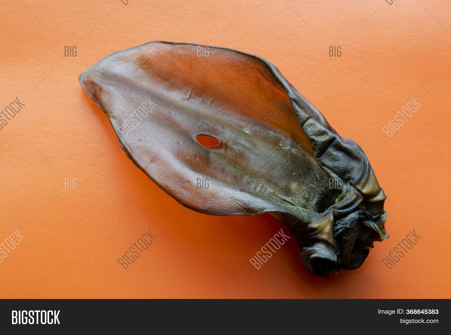 Dried Beef Ear On Image & Photo (Free Trial) | Bigstock