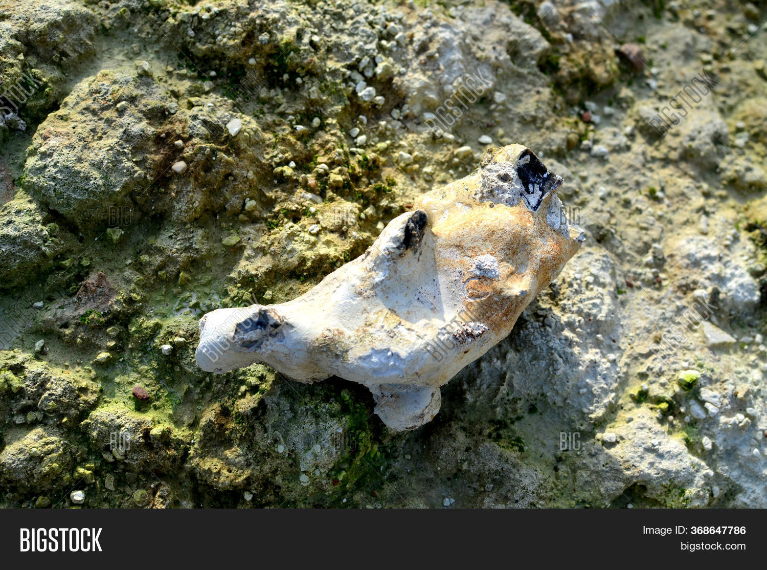 Natural Chalk Stones Image & Photo (Free Trial) | Bigstock