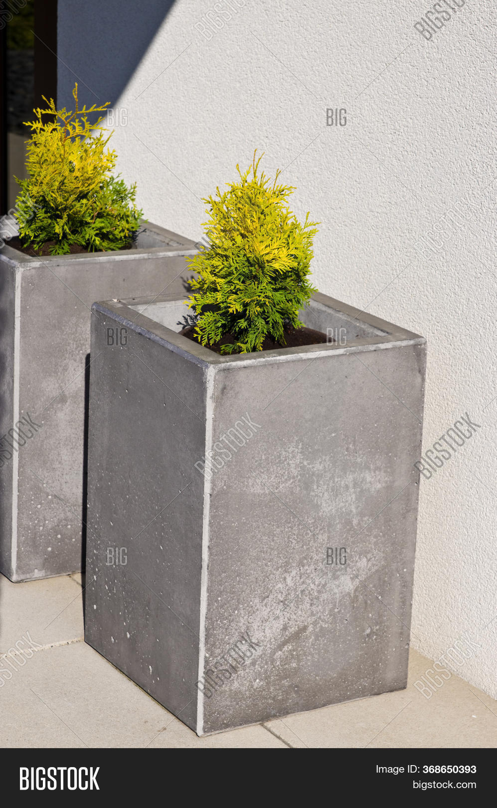 Modern Concrete Flower Image & Photo (Free Trial) | Bigstock