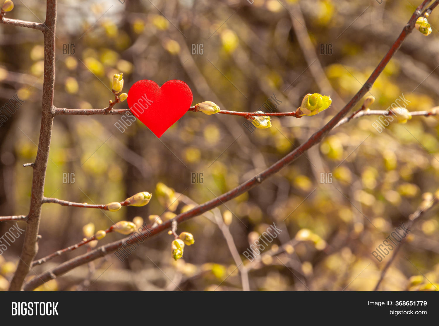 Red Heart On Tree Image & Photo (Free Trial) | Bigstock