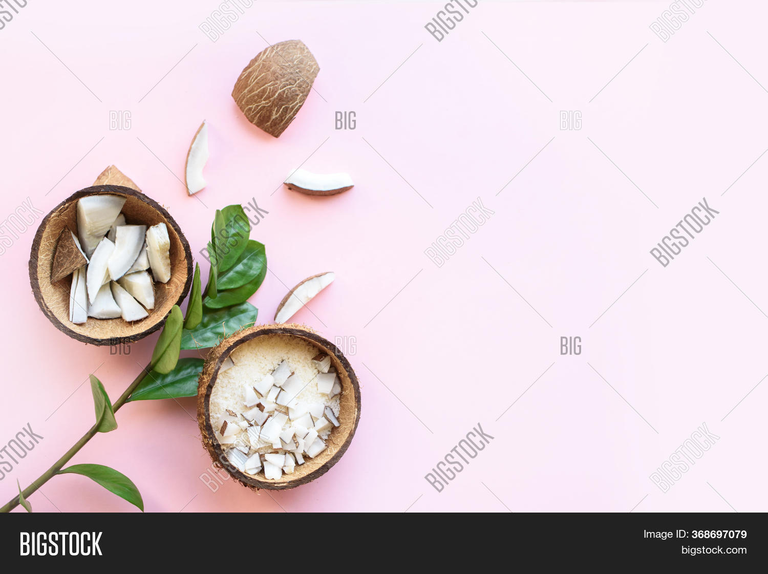Coconut Cut Into Image & Photo (Free Trial) | Bigstock