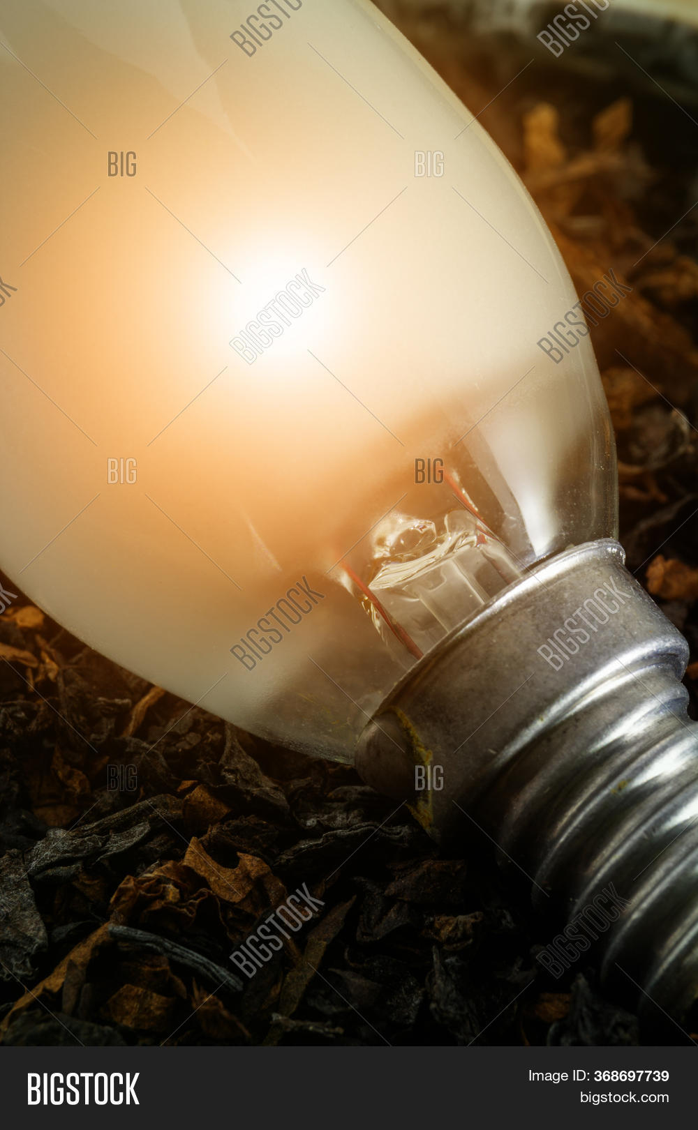 Thread Incandescent Image & Photo (Free Trial) | Bigstock