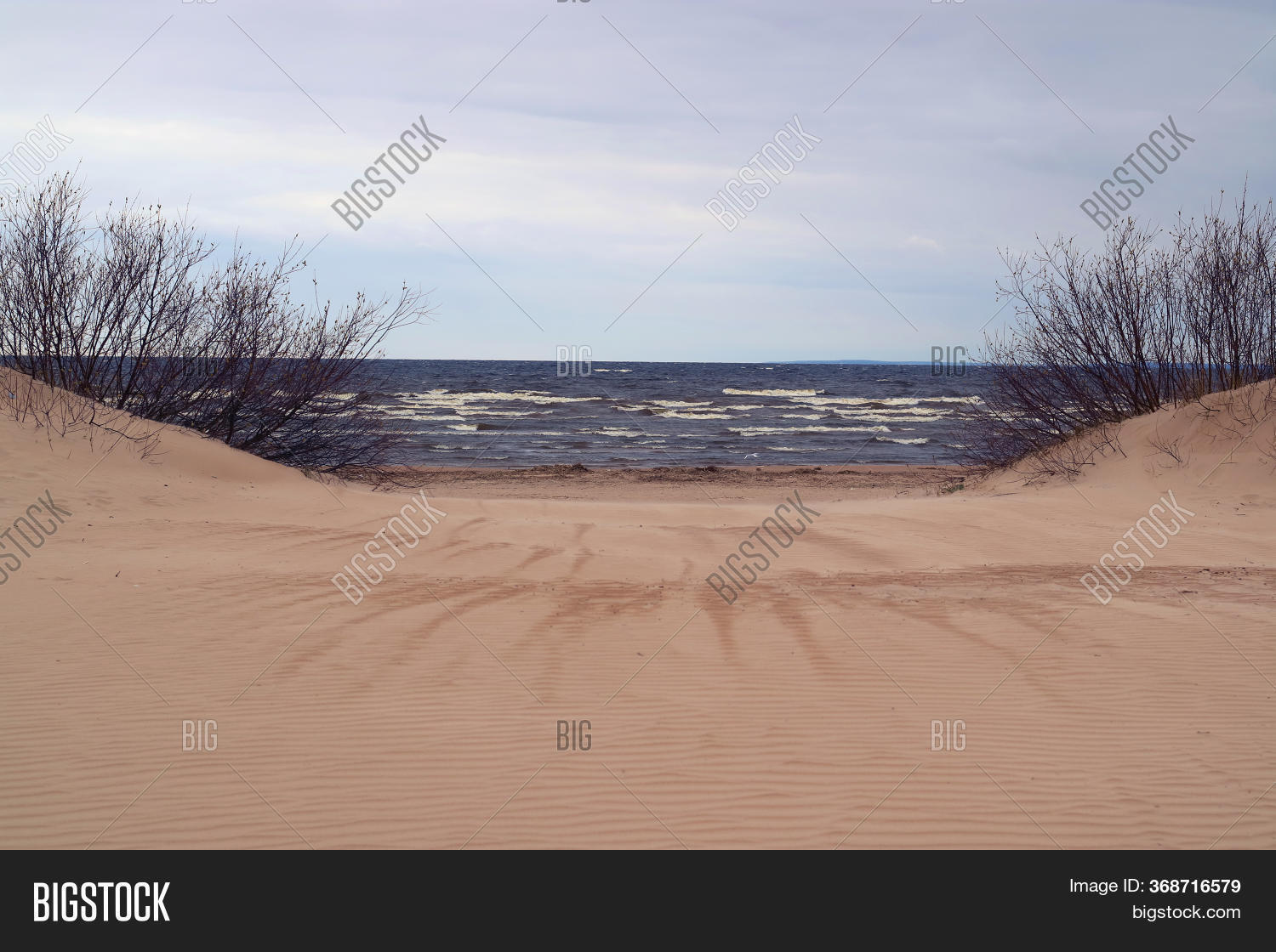 Beach Sand Bushes Image & Photo (Free Trial) | Bigstock