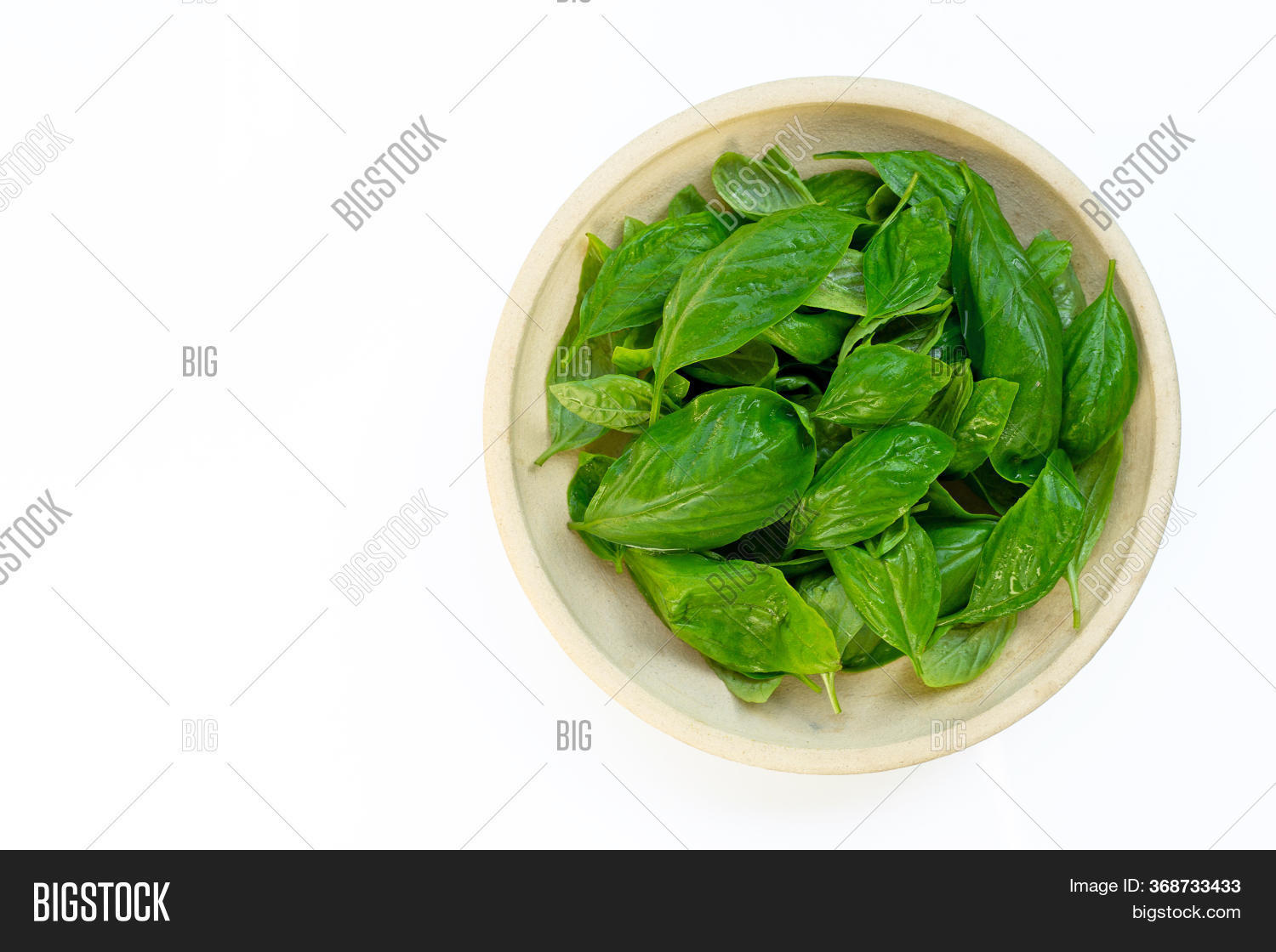 Bowl Basil Leaves On Image & Photo (Free Trial) | Bigstock
