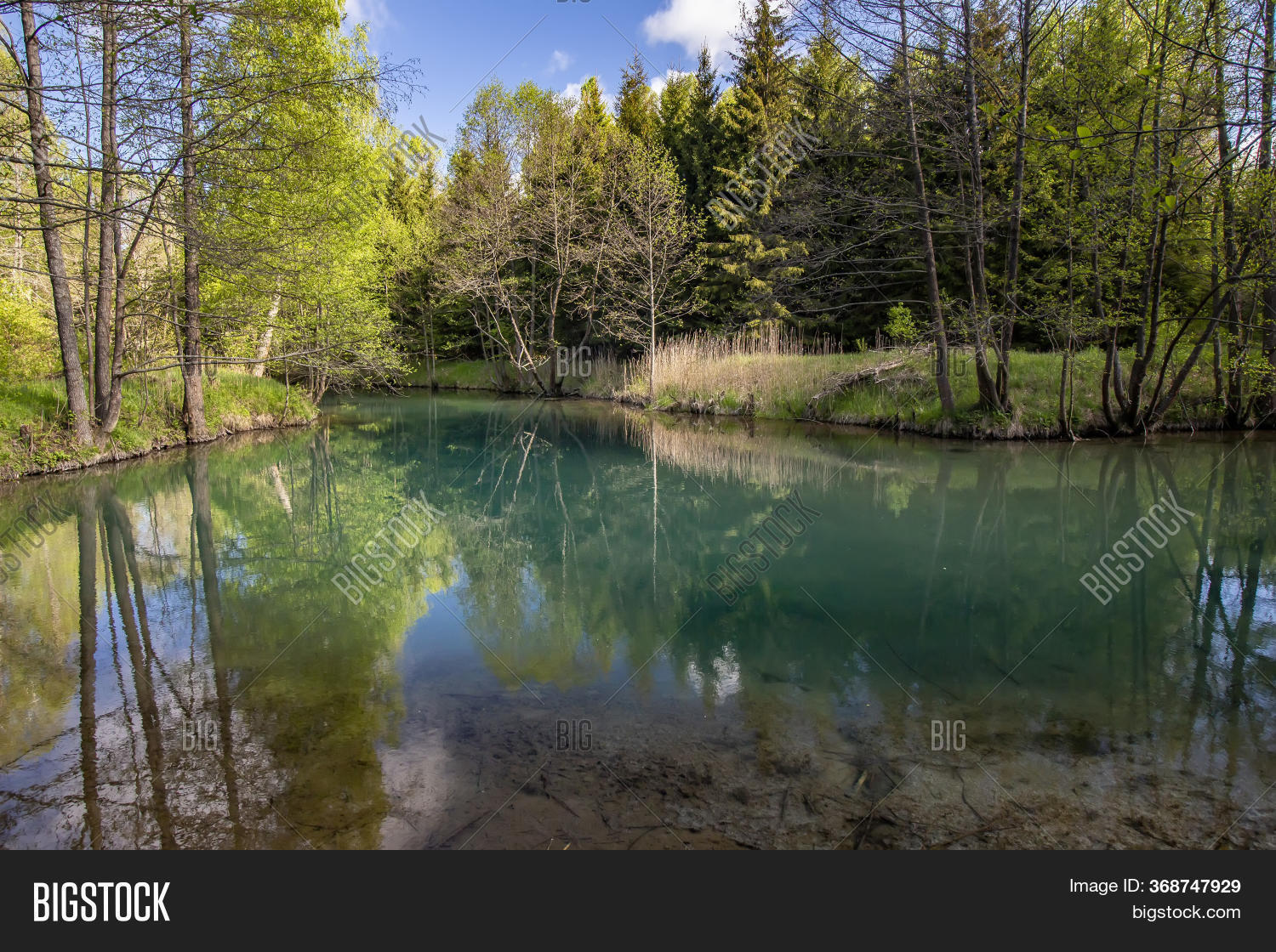 Beautiful Forest Lake Image & Photo (Free Trial) | Bigstock