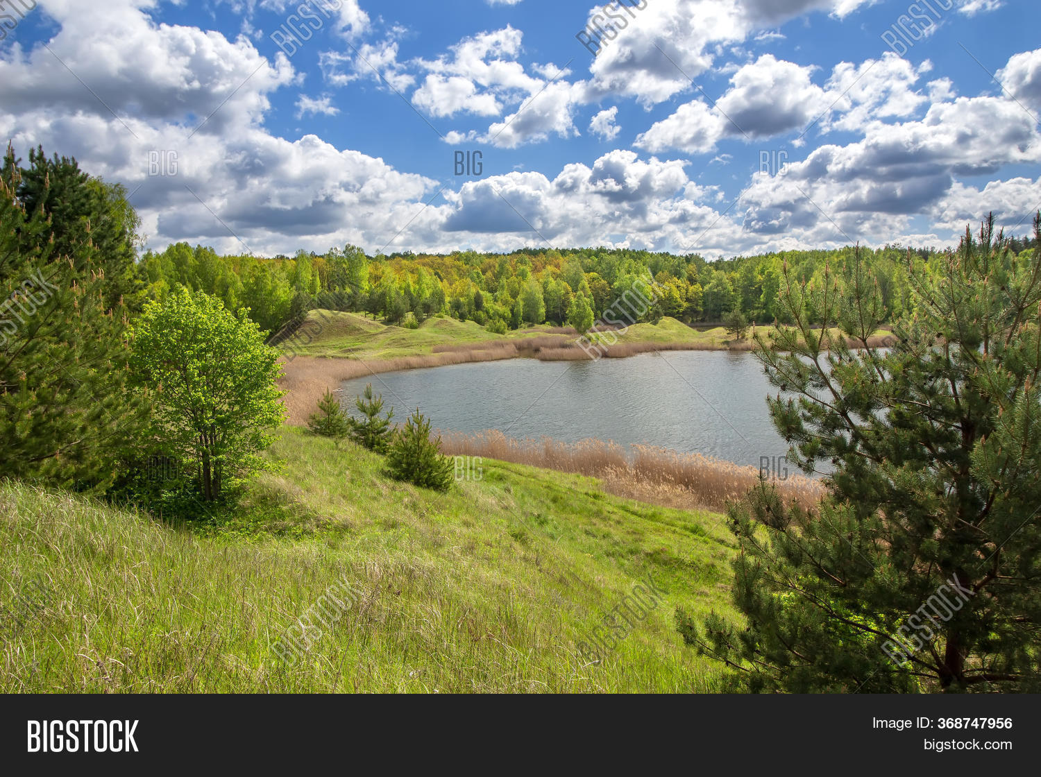Beautiful Forest Lake Image & Photo (Free Trial) | Bigstock