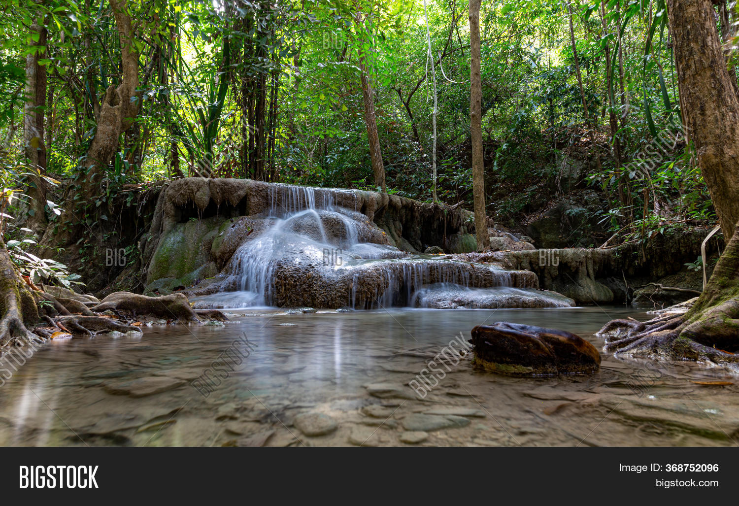 Beautiful Small Image & Photo (Free Trial) | Bigstock