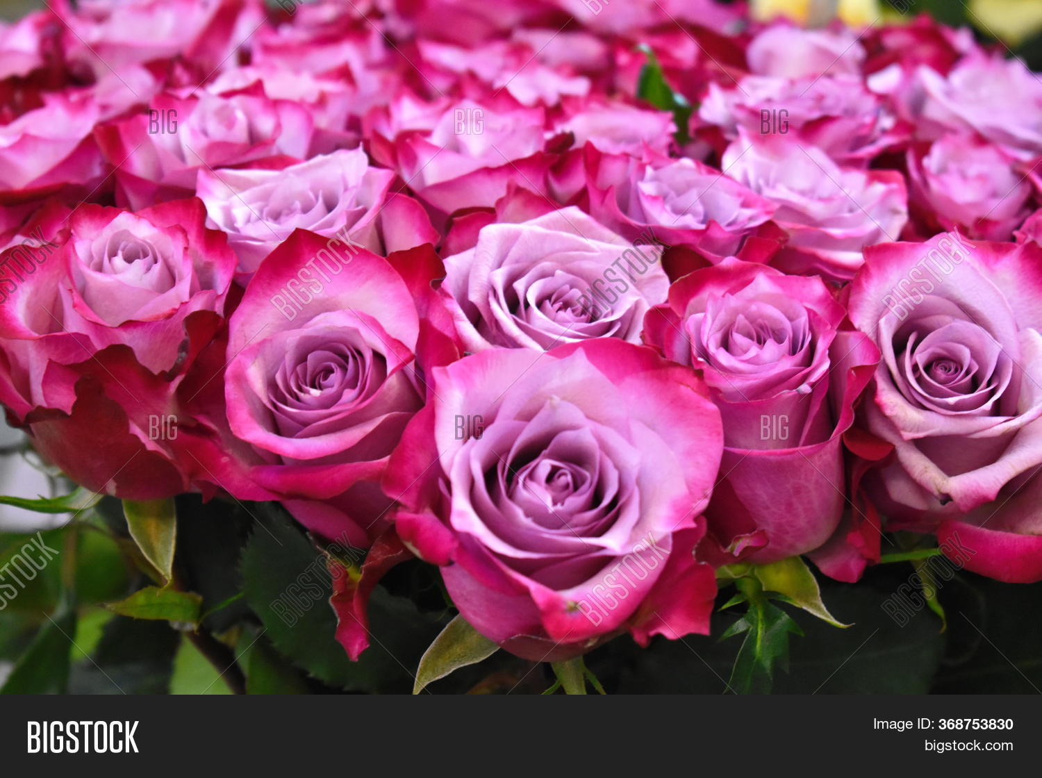 Fresh Flowers Image & Photo (Free Trial) | Bigstock