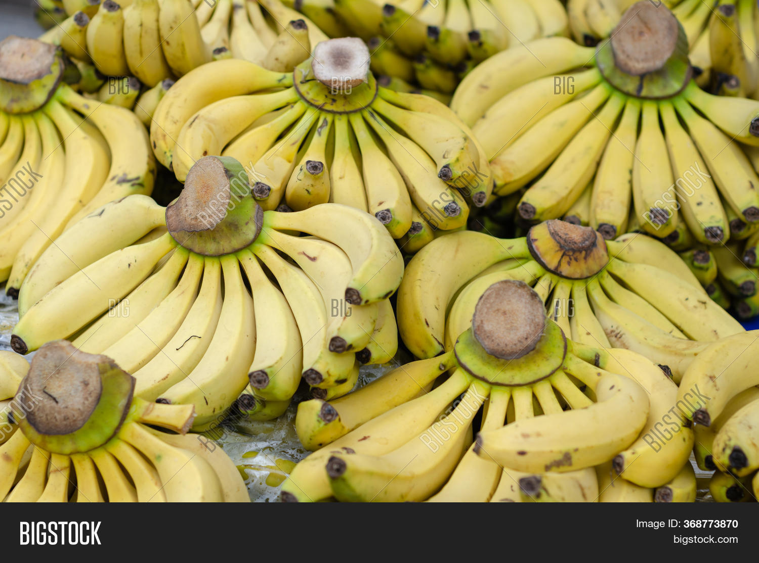 Bunch Fresh Bananas Image & Photo (Free Trial) | Bigstock
