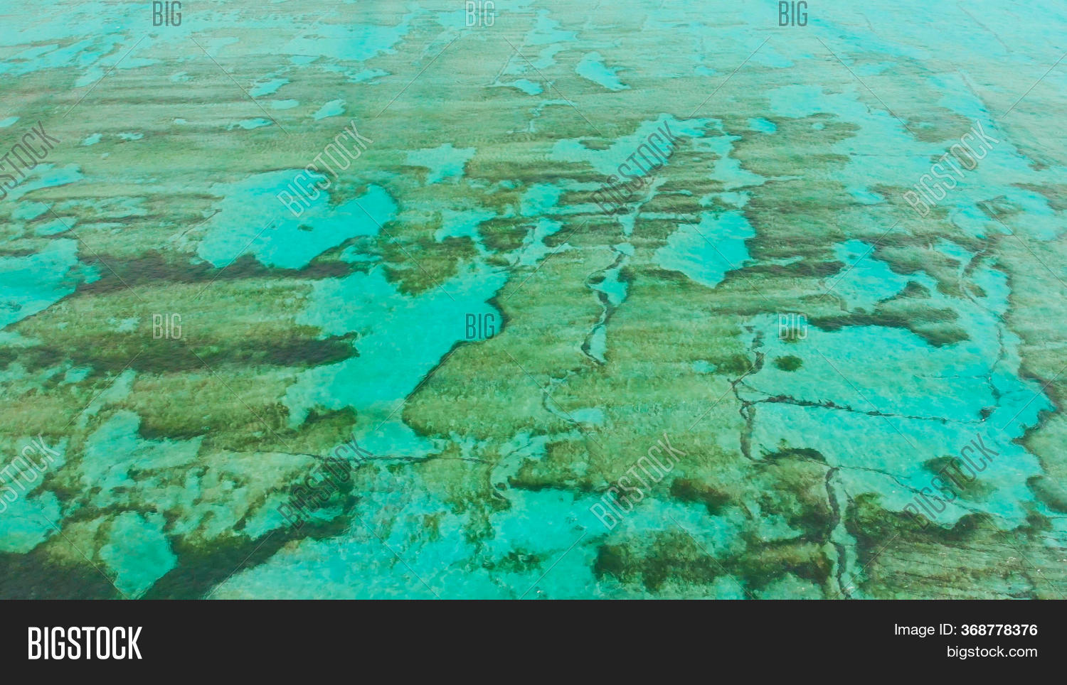 Coral Bottom Reefs Image & Photo (Free Trial) | Bigstock