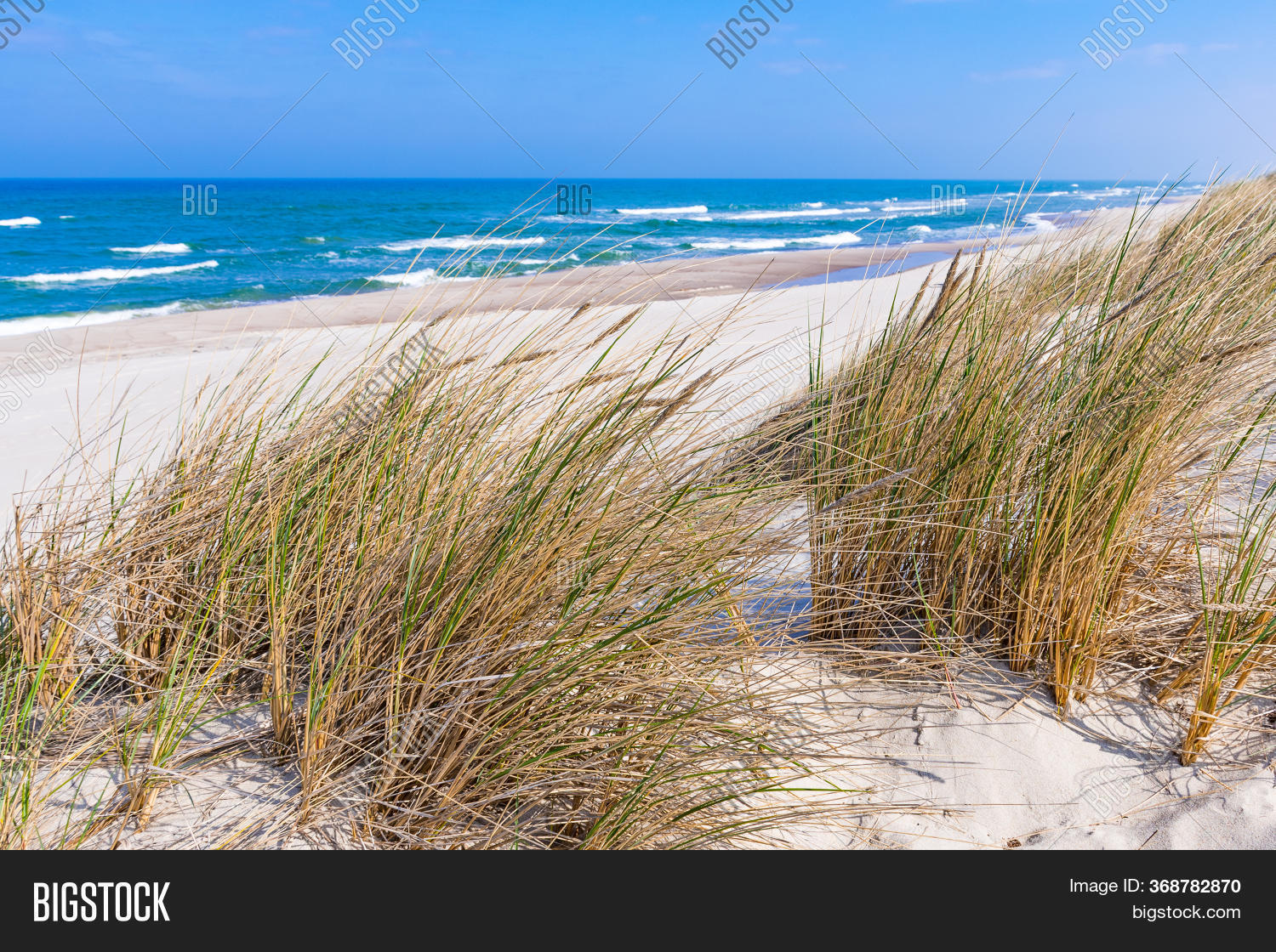 Beautiful Sand Beach Image & Photo (Free Trial) | Bigstock