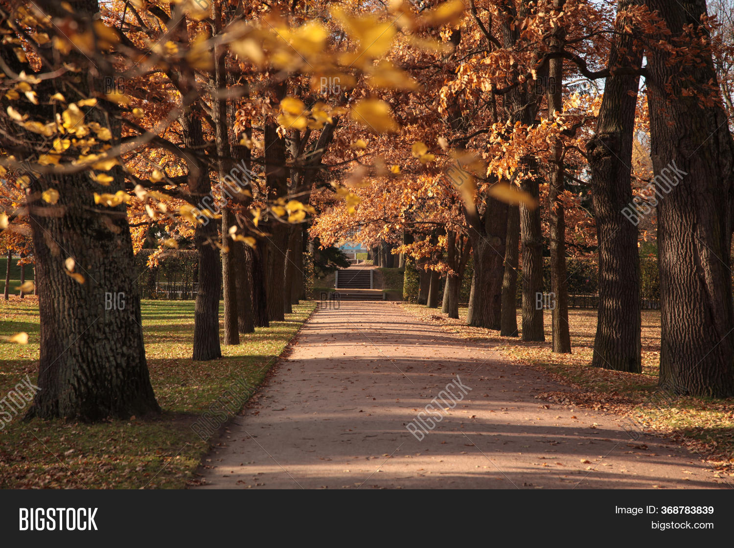 Autumn Colorful Park Image & Photo (Free Trial) | Bigstock