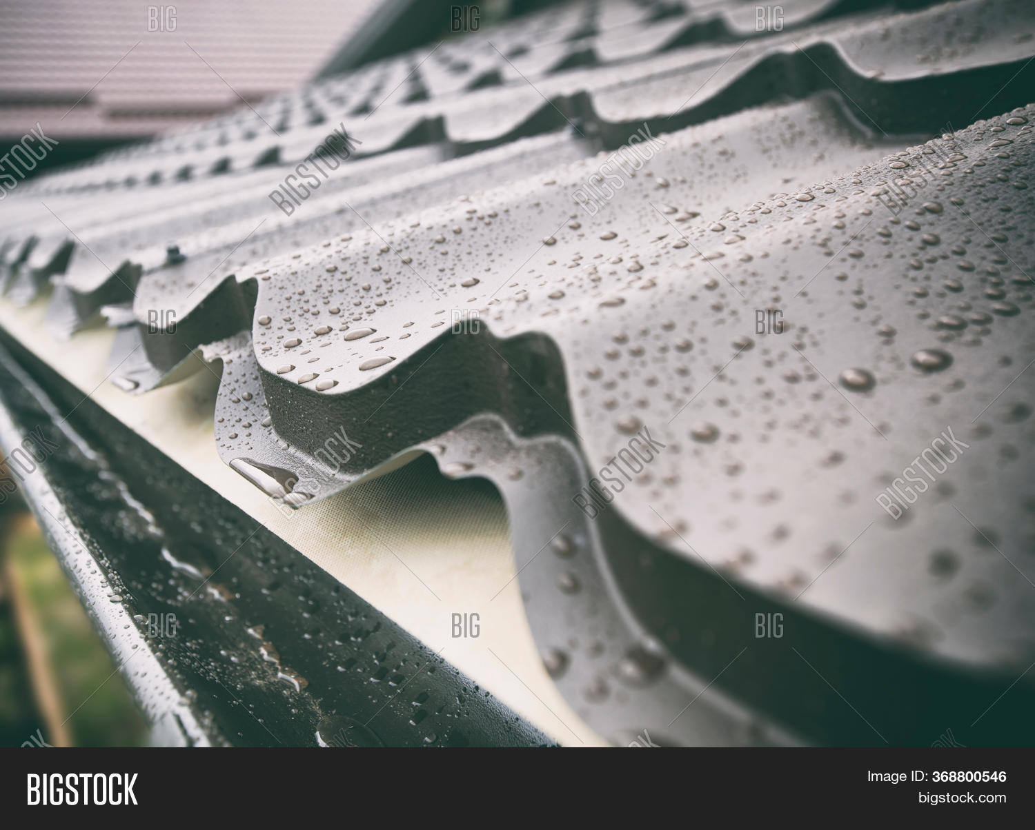 View Wet Rooftop Made Image & Photo (Free Trial) | Bigstock