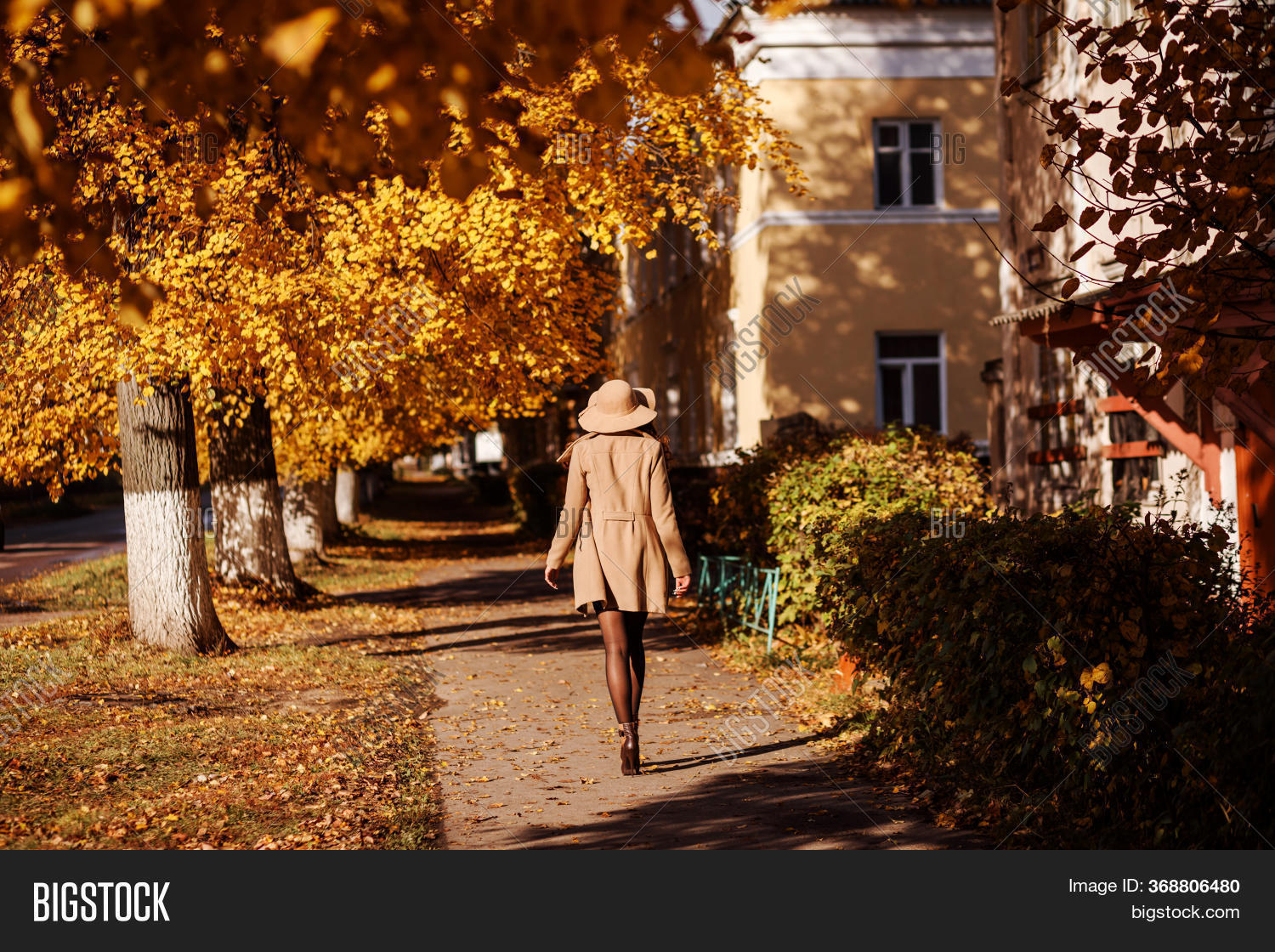 Stylish Woman Beige Image & Photo (Free Trial) | Bigstock