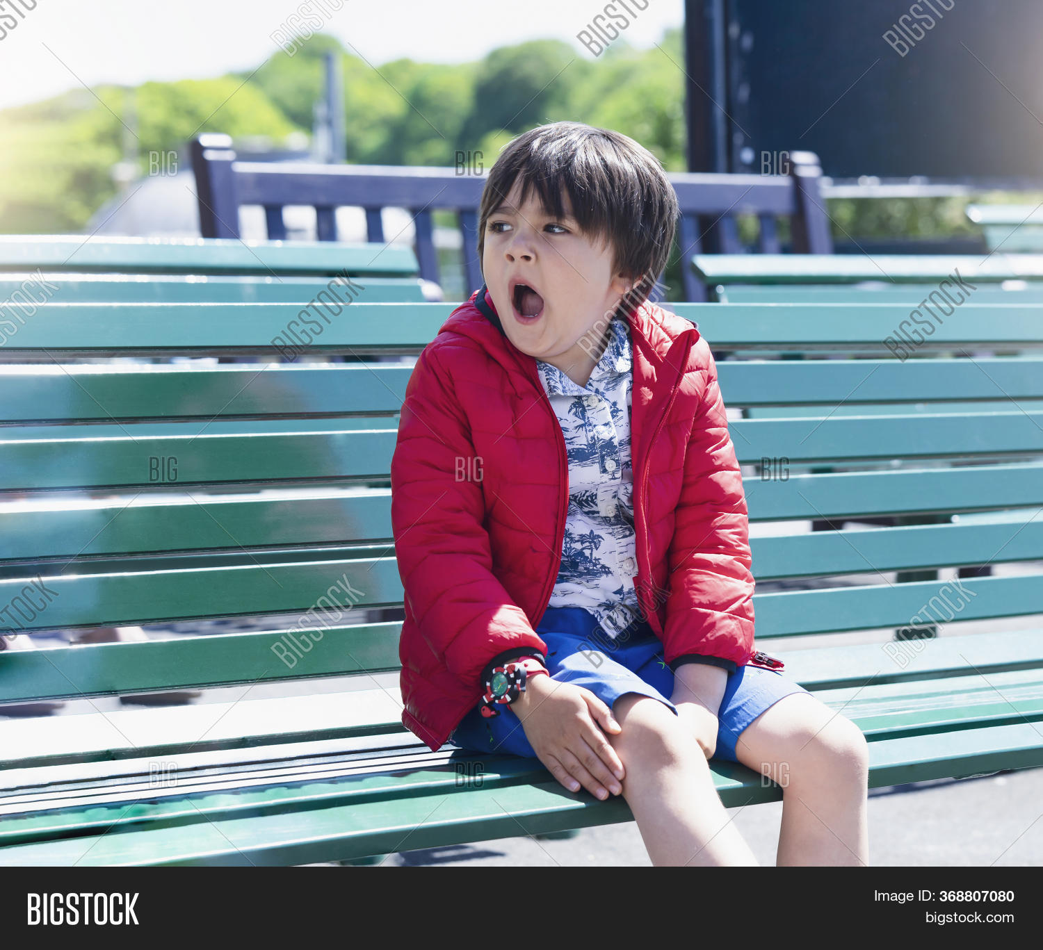 Portrait Child Boy Image & Photo (Free Trial) | Bigstock