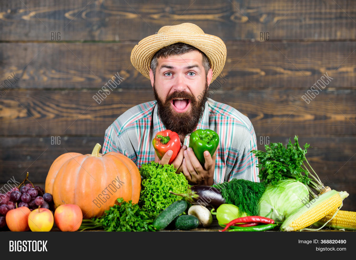 Farm Market Harvest Image & Photo (Free Trial) | Bigstock