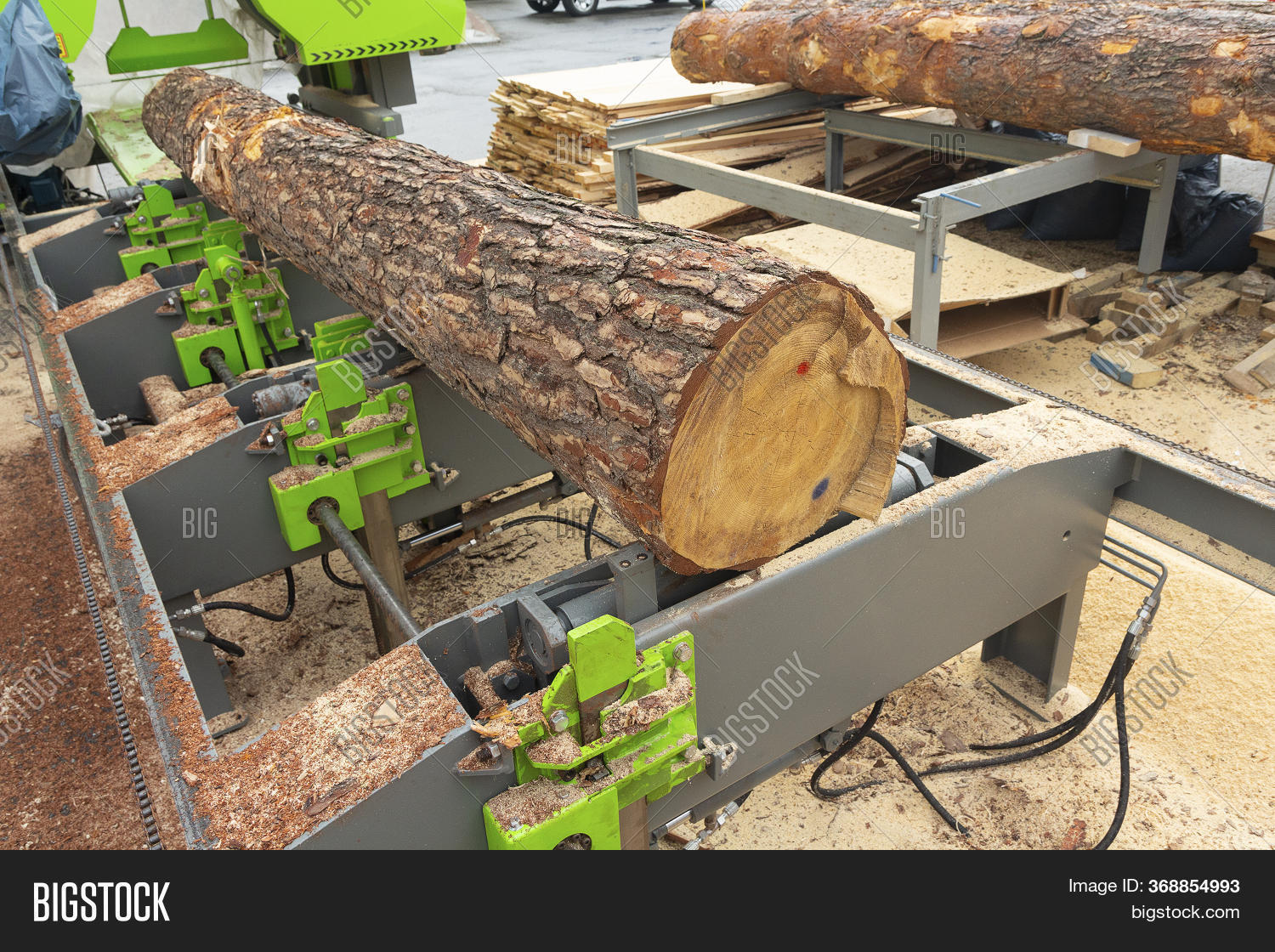 Large Tree Log Image & Photo (Free Trial) | Bigstock