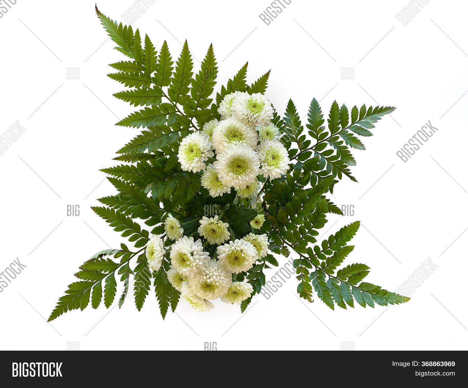 Bunch White Flowers On Image & Photo (Free Trial) | Bigstock