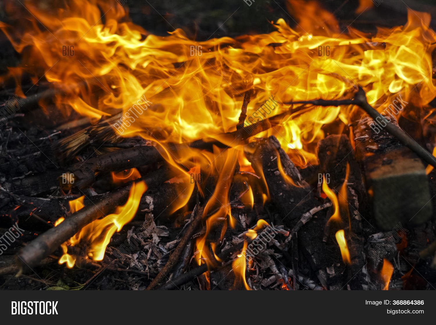 Branches Firewood Image & Photo (Free Trial) | Bigstock