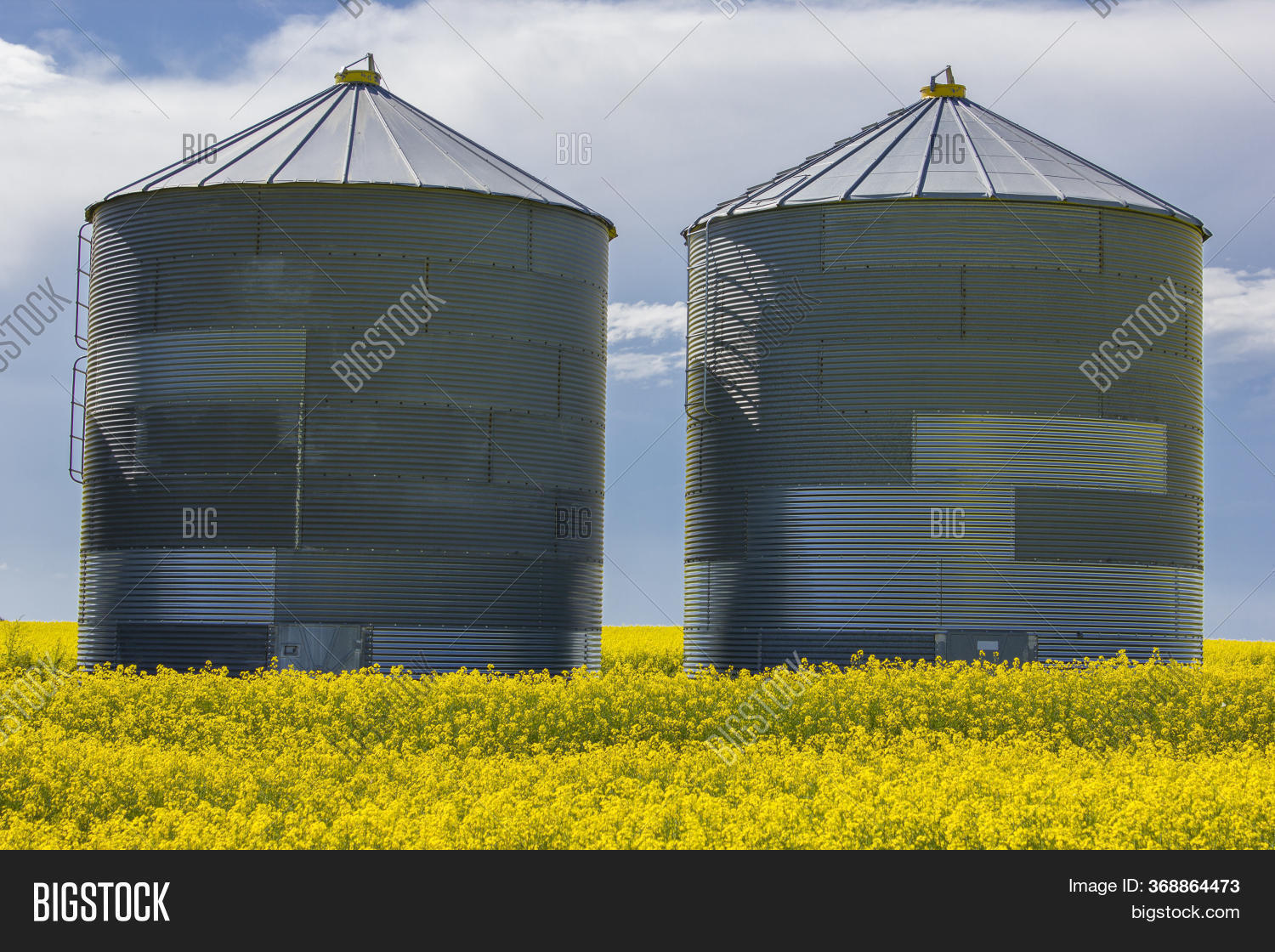 Large Metal Grain Image & Photo (Free Trial) | Bigstock