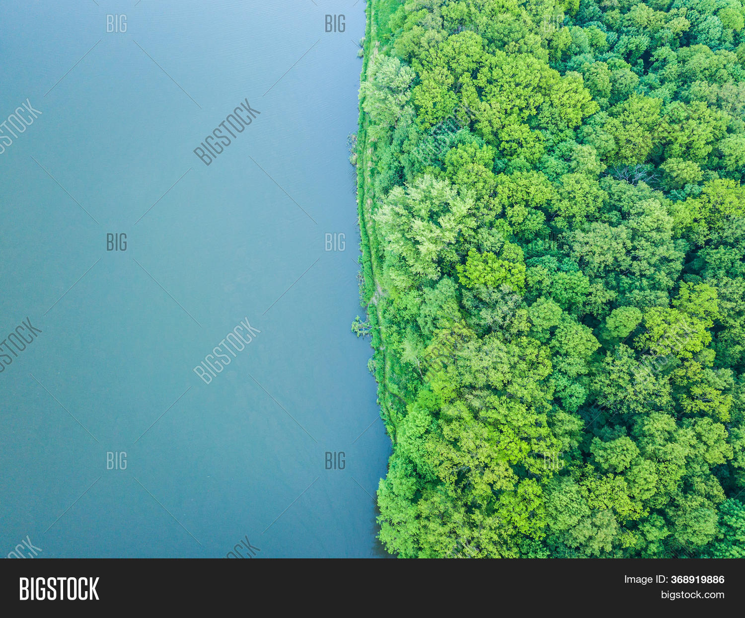 Deep Green Forest Image & Photo (Free Trial) | Bigstock