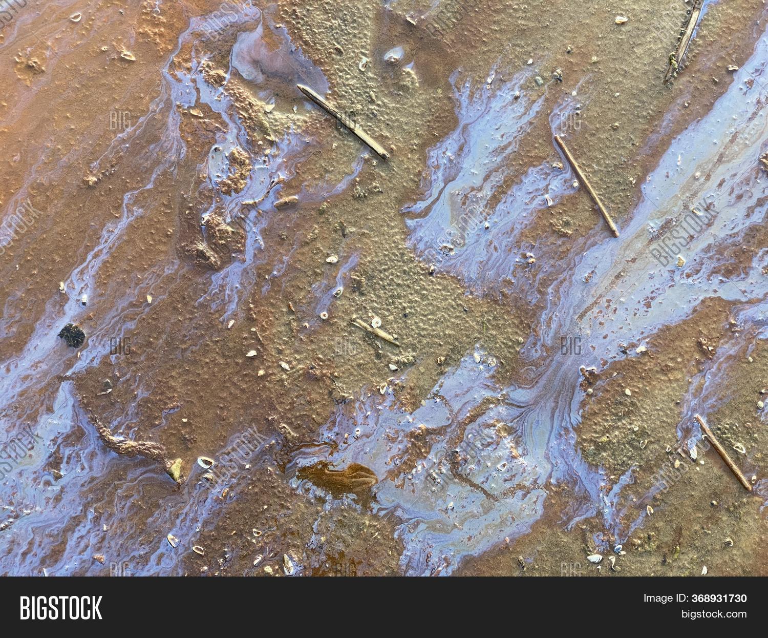 Oil Stains On Beach Image & Photo (Free Trial) | Bigstock