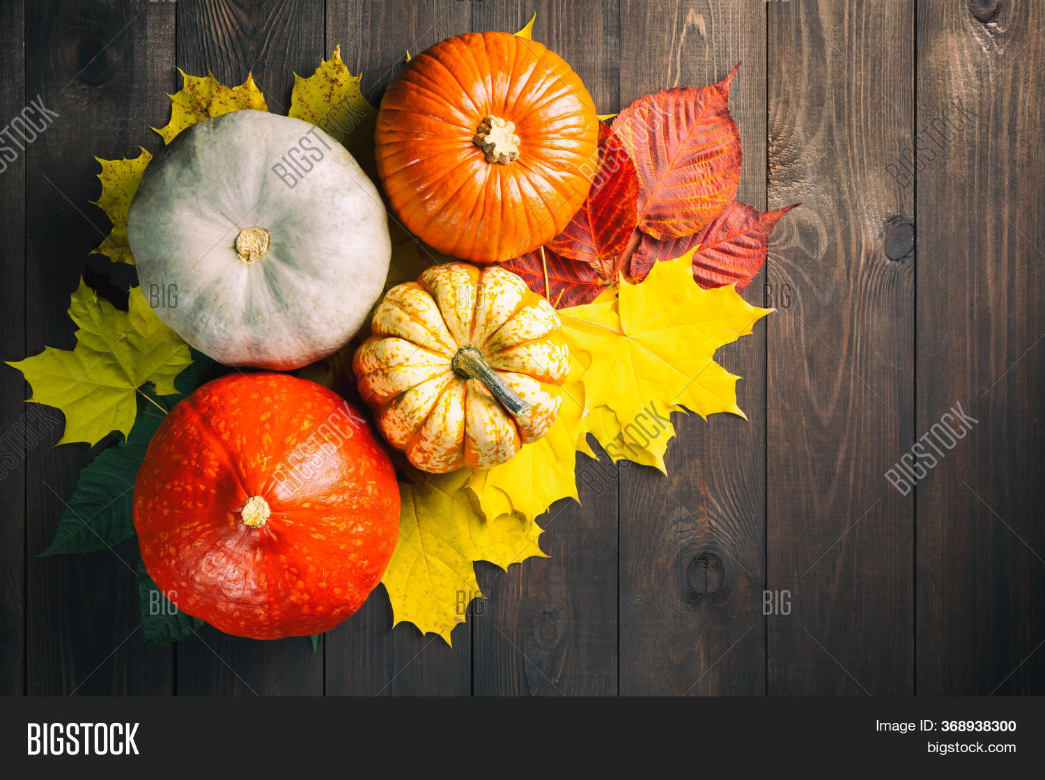 Autumn Backdrop Image & Photo (Free Trial) | Bigstock