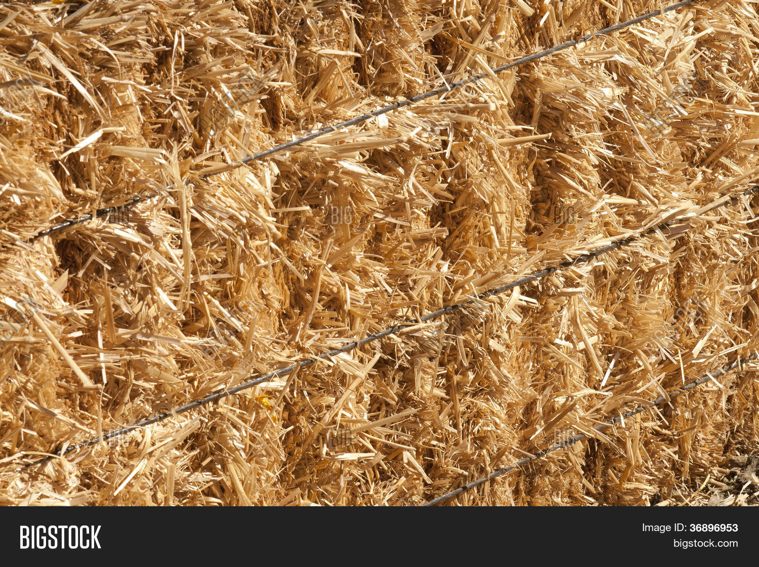 Hay Bale Straped Wire Image & Photo (Free Trial) | Bigstock