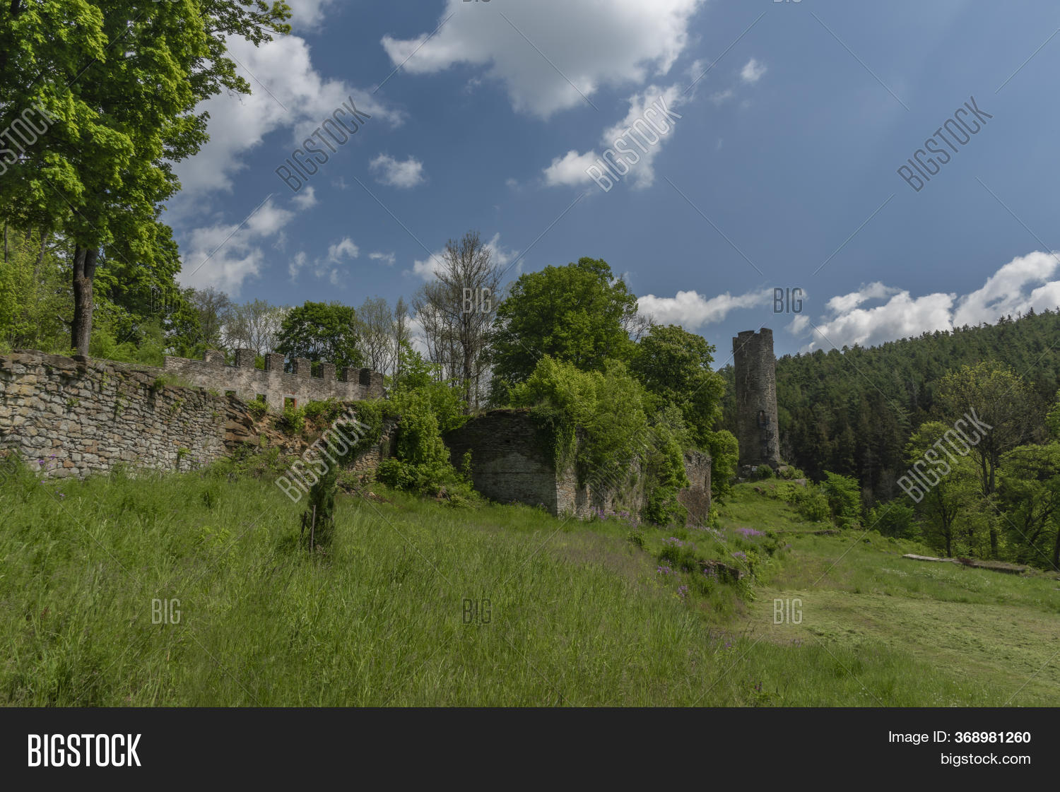 Neuberg Ruin Castle Image & Photo (Free Trial) | Bigstock