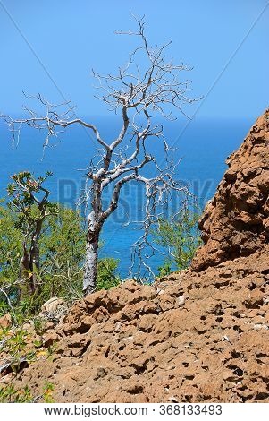 Socotra Scenery. Image & Photo (Free Trial) | Bigstock