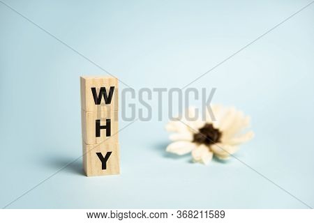 Why Images, Illustrations & Vectors (Free) - Bigstock