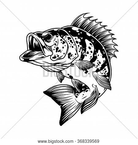 Aggressive Bass Fish Vector & Photo (Free Trial) | Bigstock