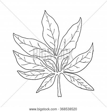 Leaf Contour Line Vector & Photo (Free Trial) | Bigstock