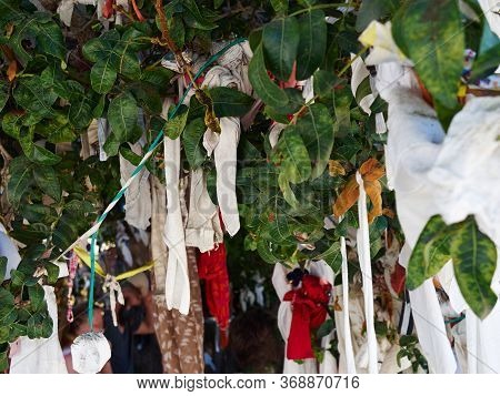 Traditional Image & Photo (Free Trial) | Bigstock