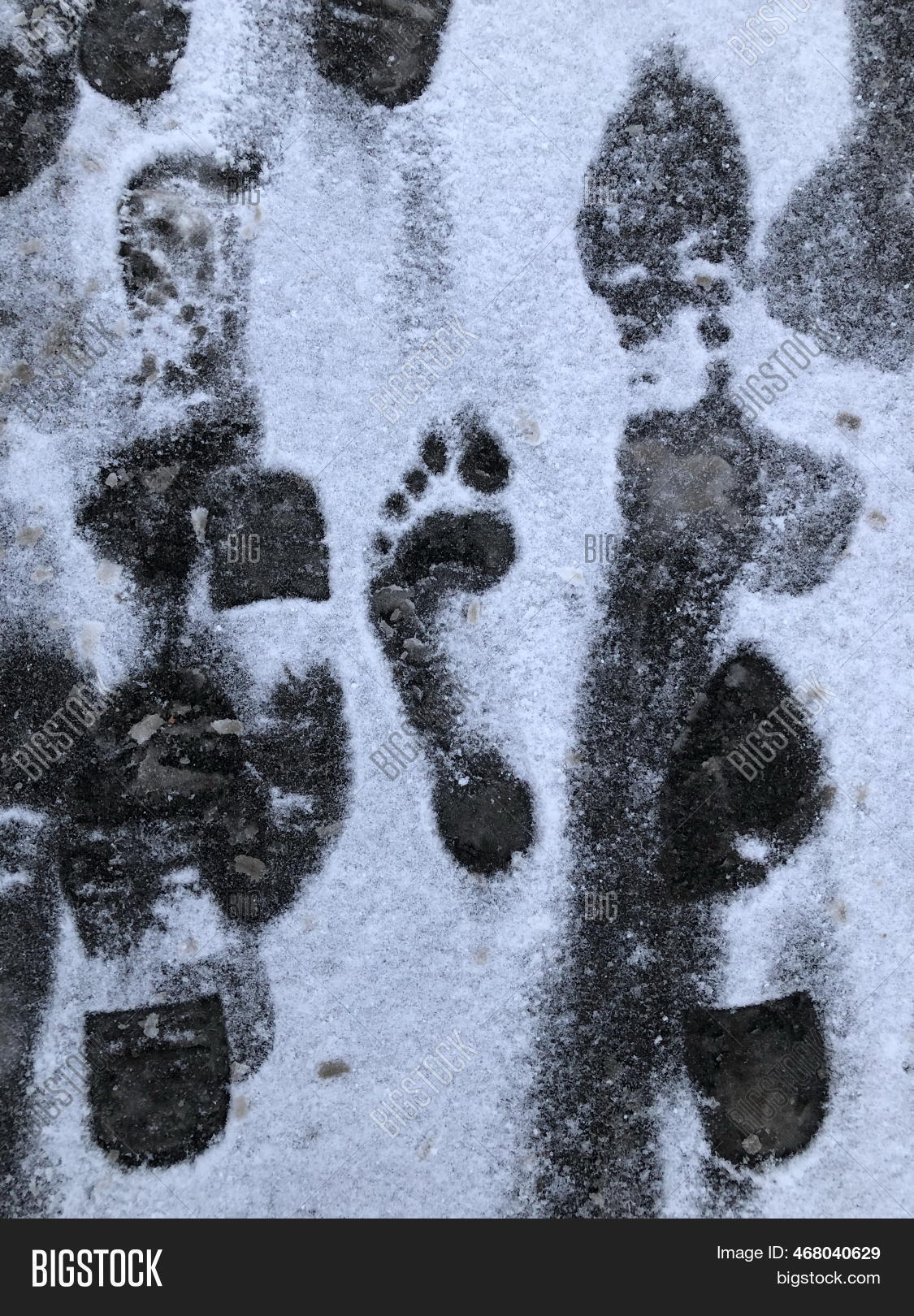 Among Footprints Image & Photo (Free Trial) | Bigstock