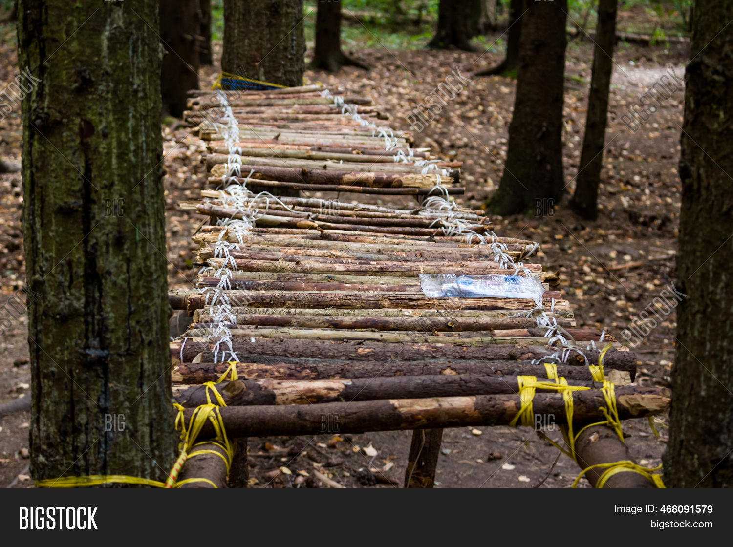 Impromptu Table Forest Image & Photo (Free Trial) | Bigstock