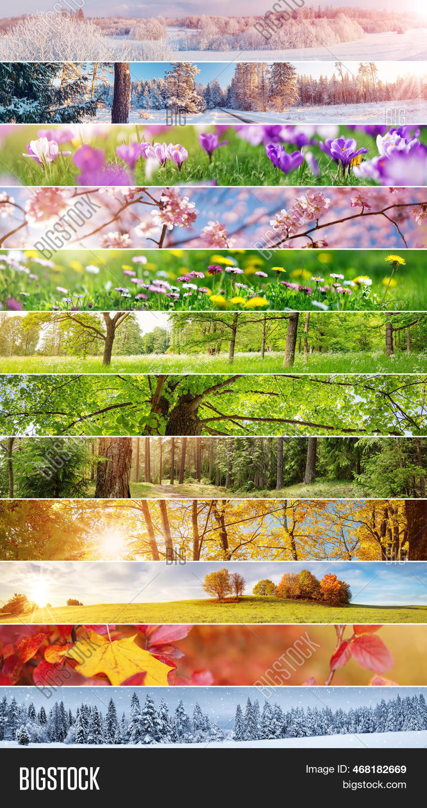Collage Panoramic Image & Photo (Free Trial) | Bigstock