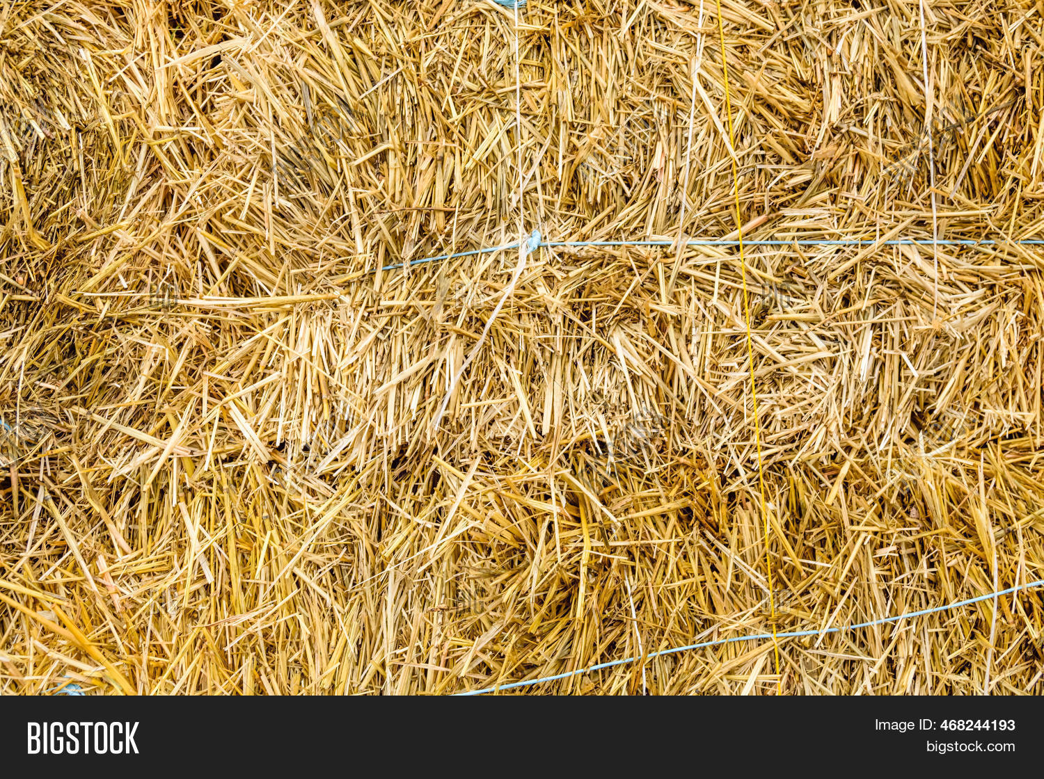 Texture Dry Hay Image & Photo (Free Trial) | Bigstock
