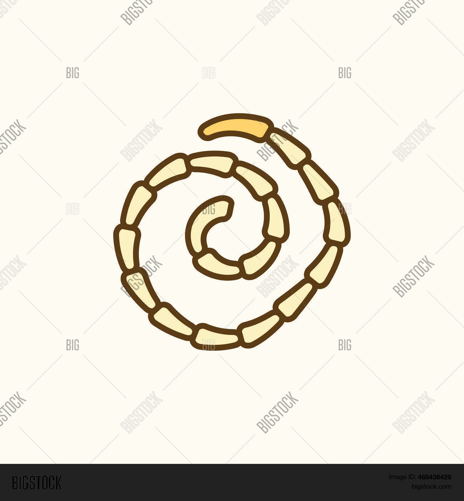 Tapeworm Vector Vector & Photo (Free Trial) | Bigstock