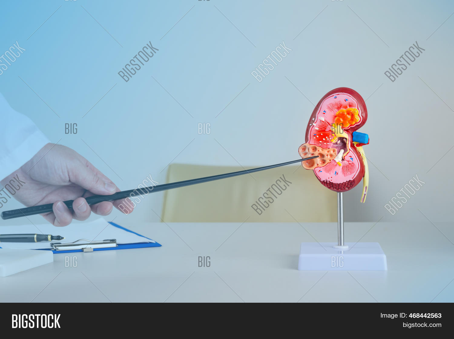 Doctor Nephrologist Image & Photo (Free Trial) | Bigstock