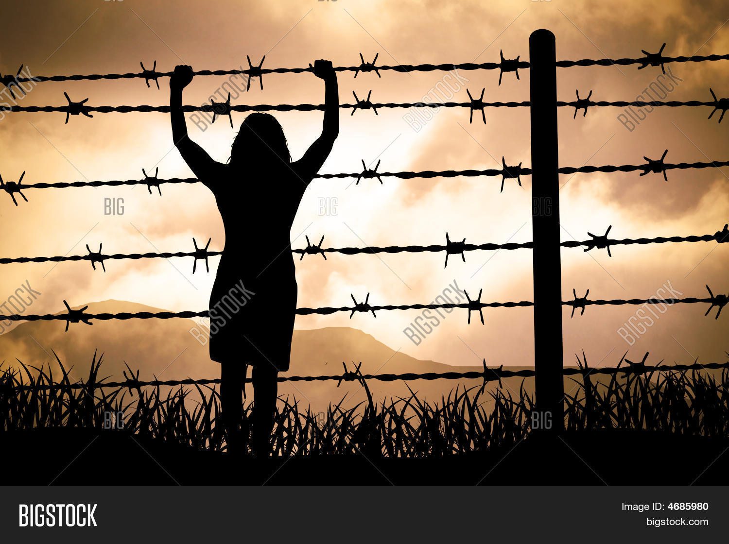 Barbed Wire Image & Photo (Free Trial) | Bigstock